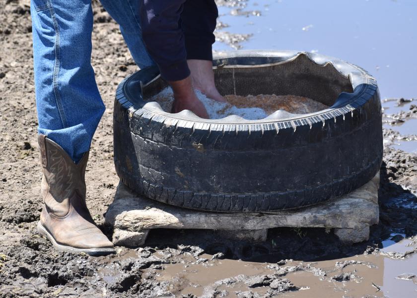 Choose the Best Cattle Mineral Supplementation for Your Operation | Drovers Choose the Best Cattle Mineral Supplementation for Your Operation | Drovers